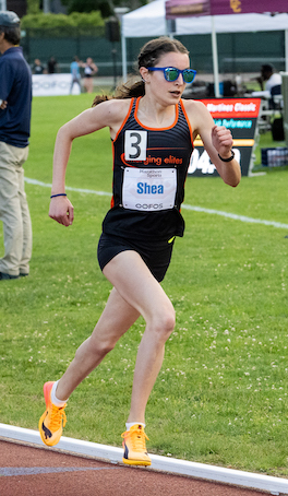 Emerging Elites - Ellie Shea